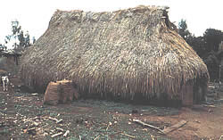 historia de la araucania: ¿Como eran las casas de los Mapuches?